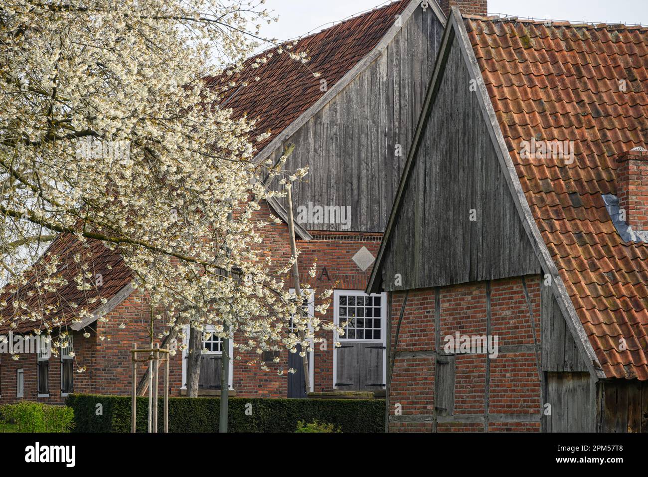 the city of vreden at the berkel river in germany Stock Photo - Alamy