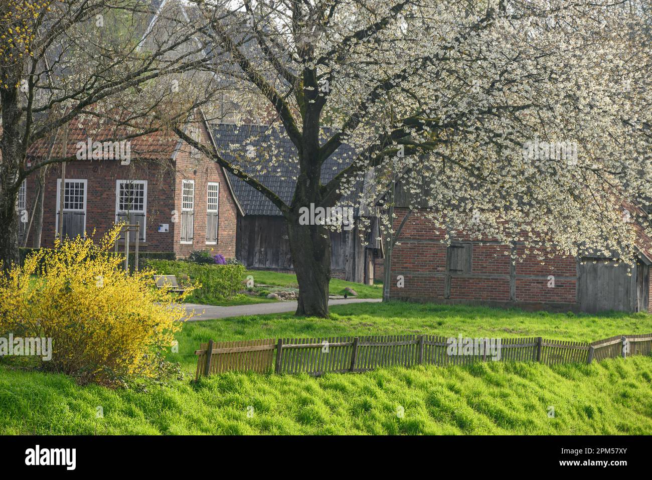 the city of vreden at the berkel river in germany Stock Photo - Alamy