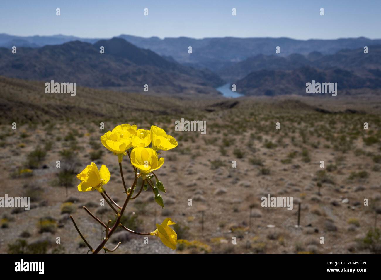 April 10, 2023 - Lake Mead National Recreation Area, Arizona, U.S ...