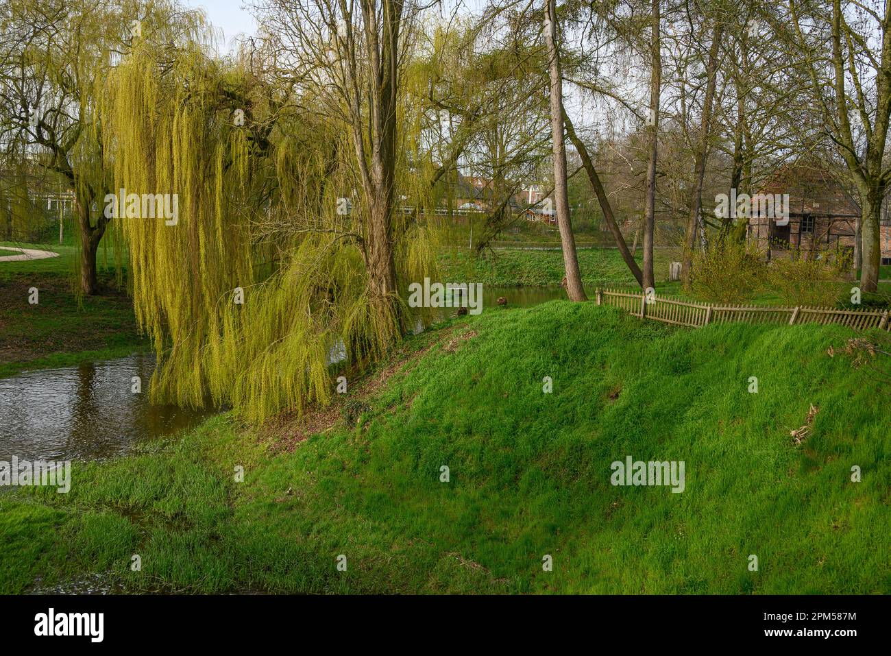 the city of vreden at the berkel river in germany Stock Photo - Alamy