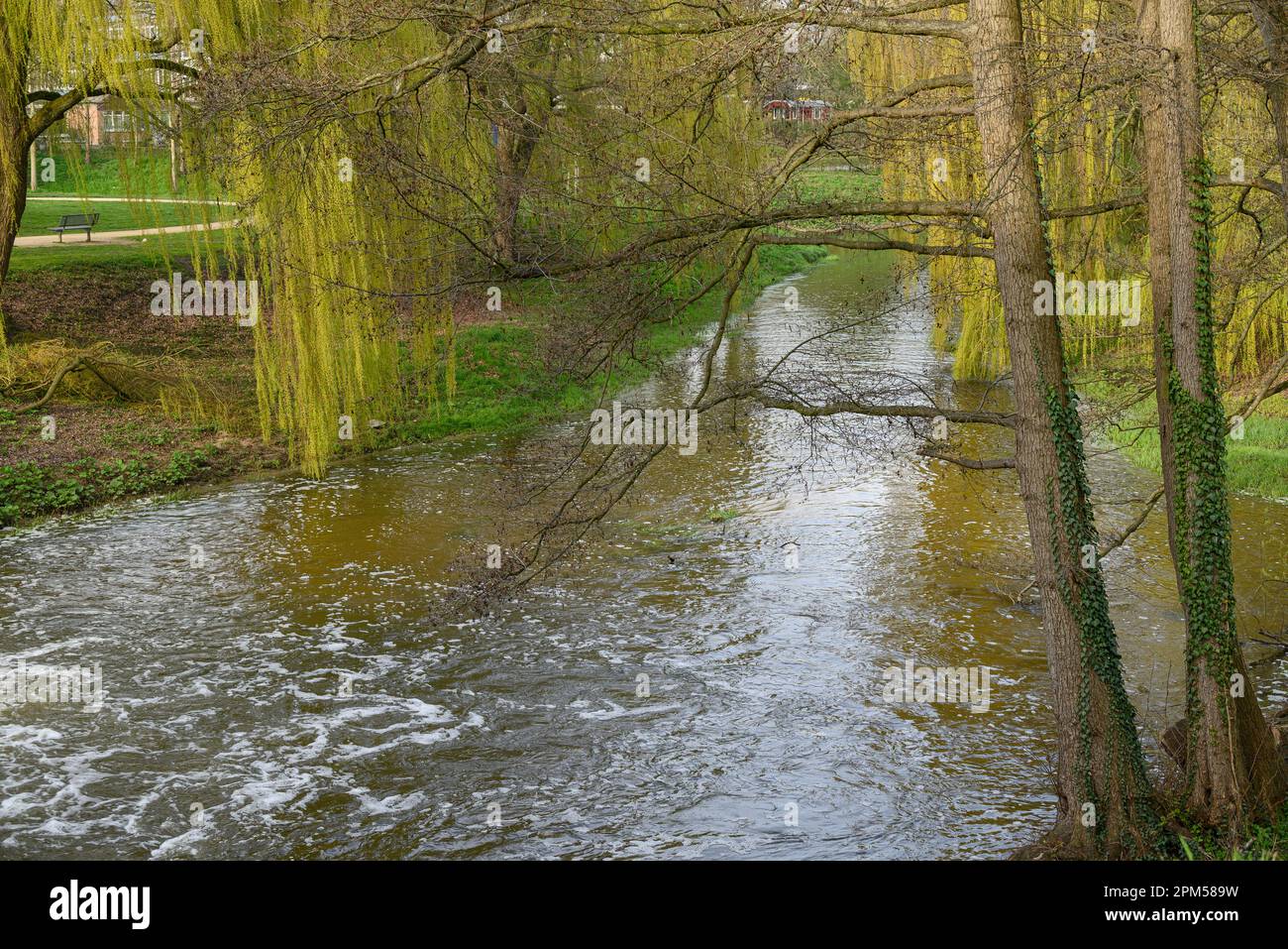 the city of vreden at the berkel river in germany Stock Photo - Alamy
