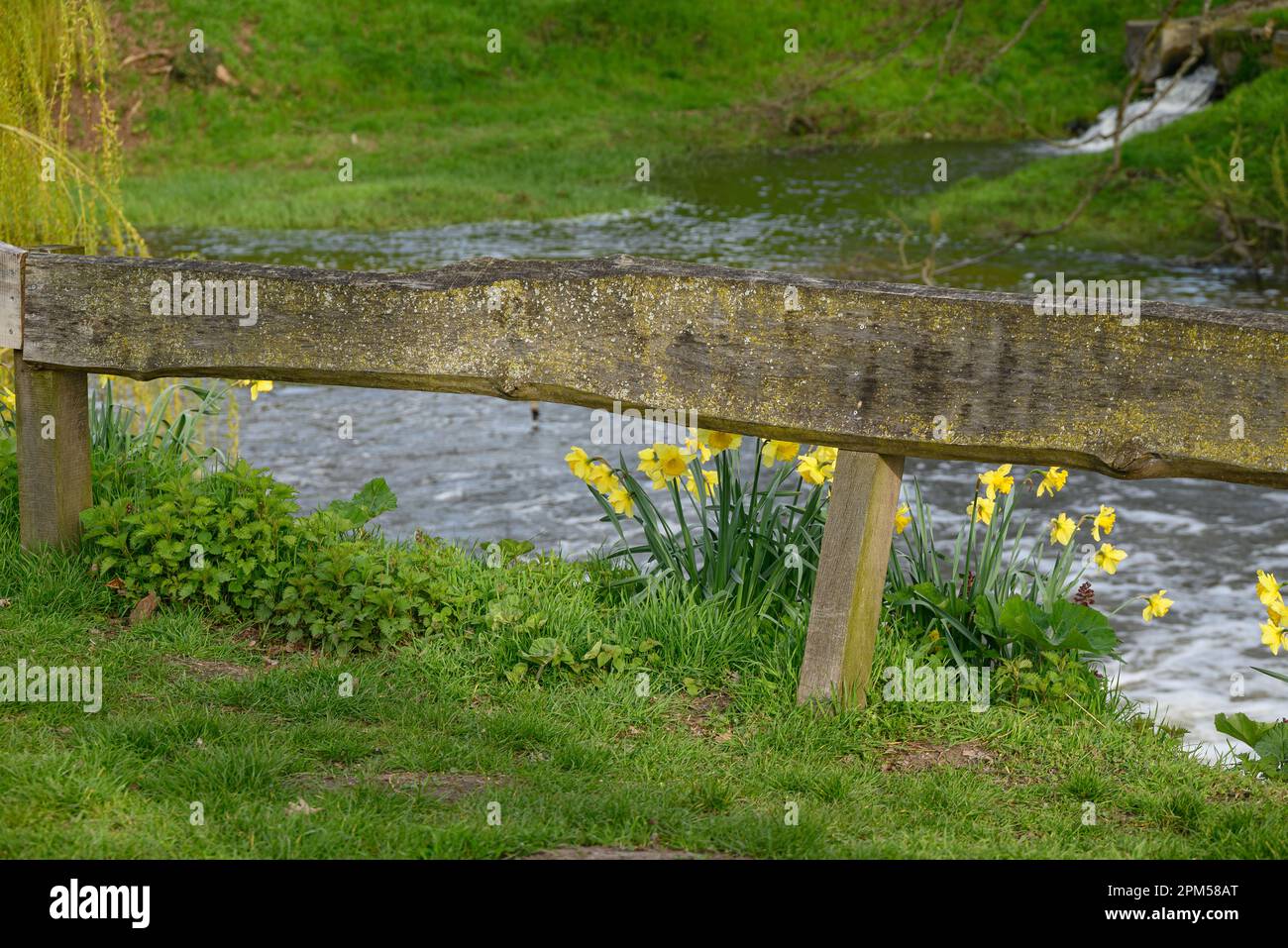 the city of vreden at the berkel river in germany Stock Photo - Alamy