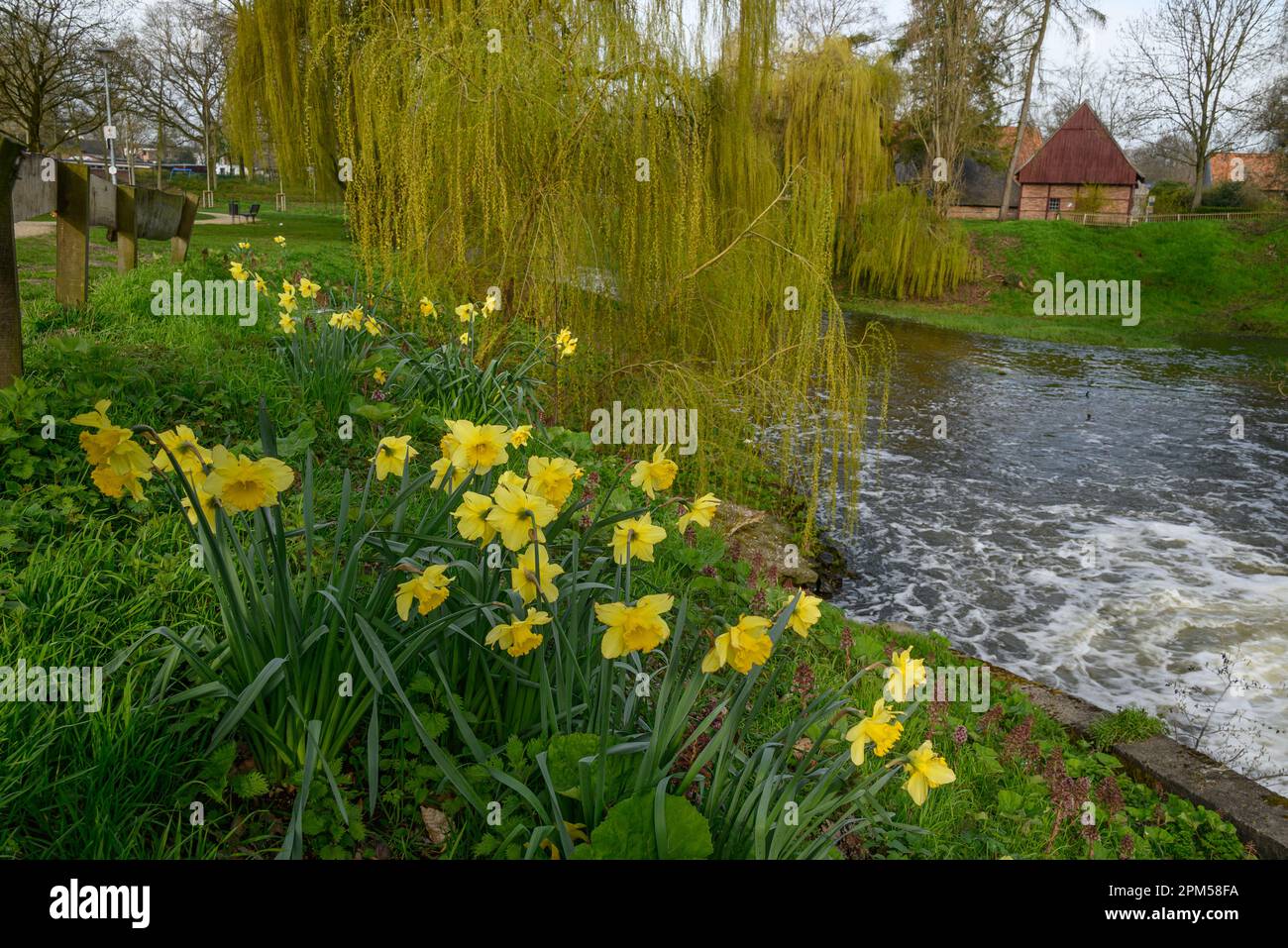 the city of vreden at the berkel river in germany Stock Photo - Alamy