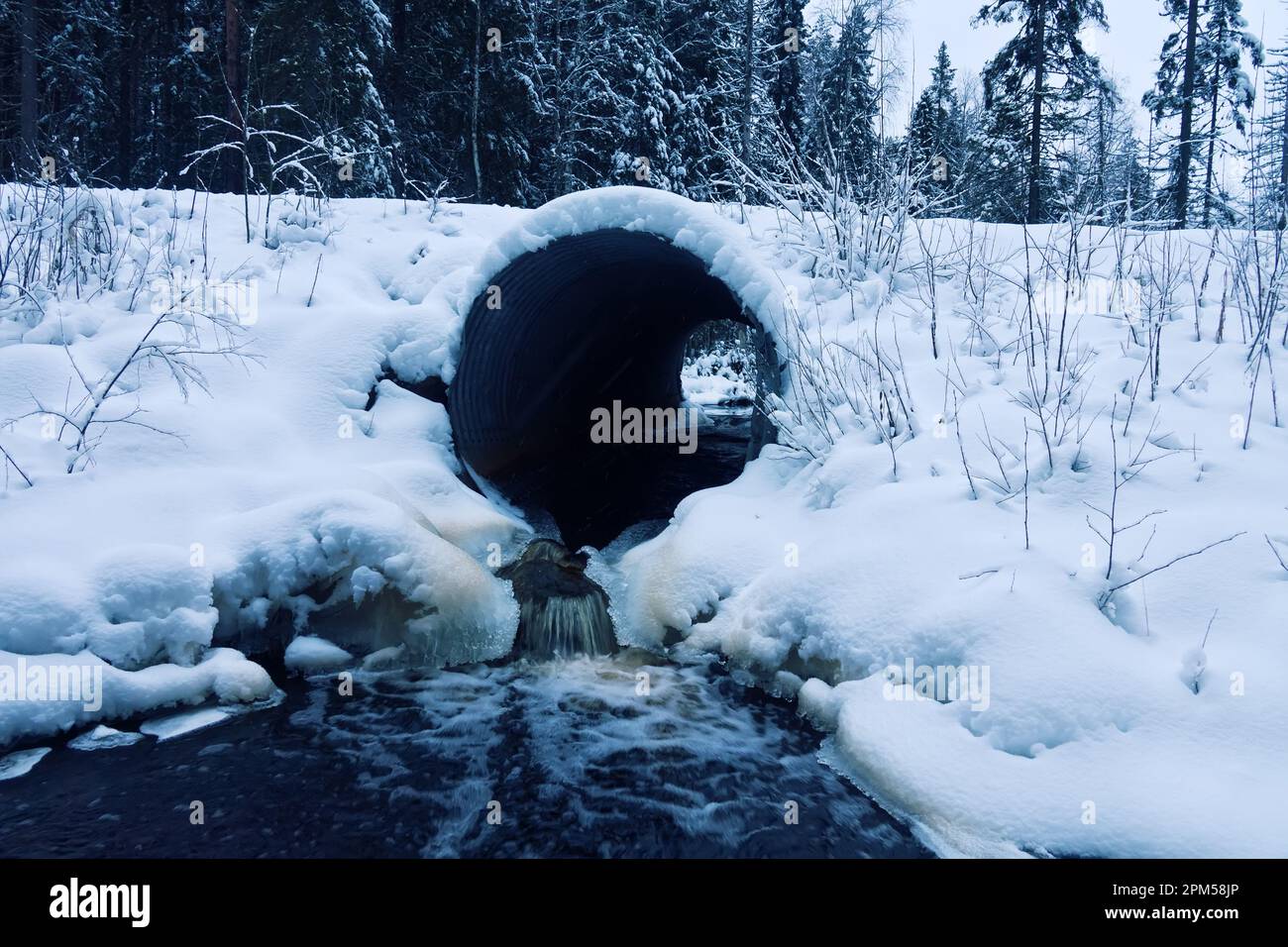 The culvert under the forest road is covered with snow in winter, but ...