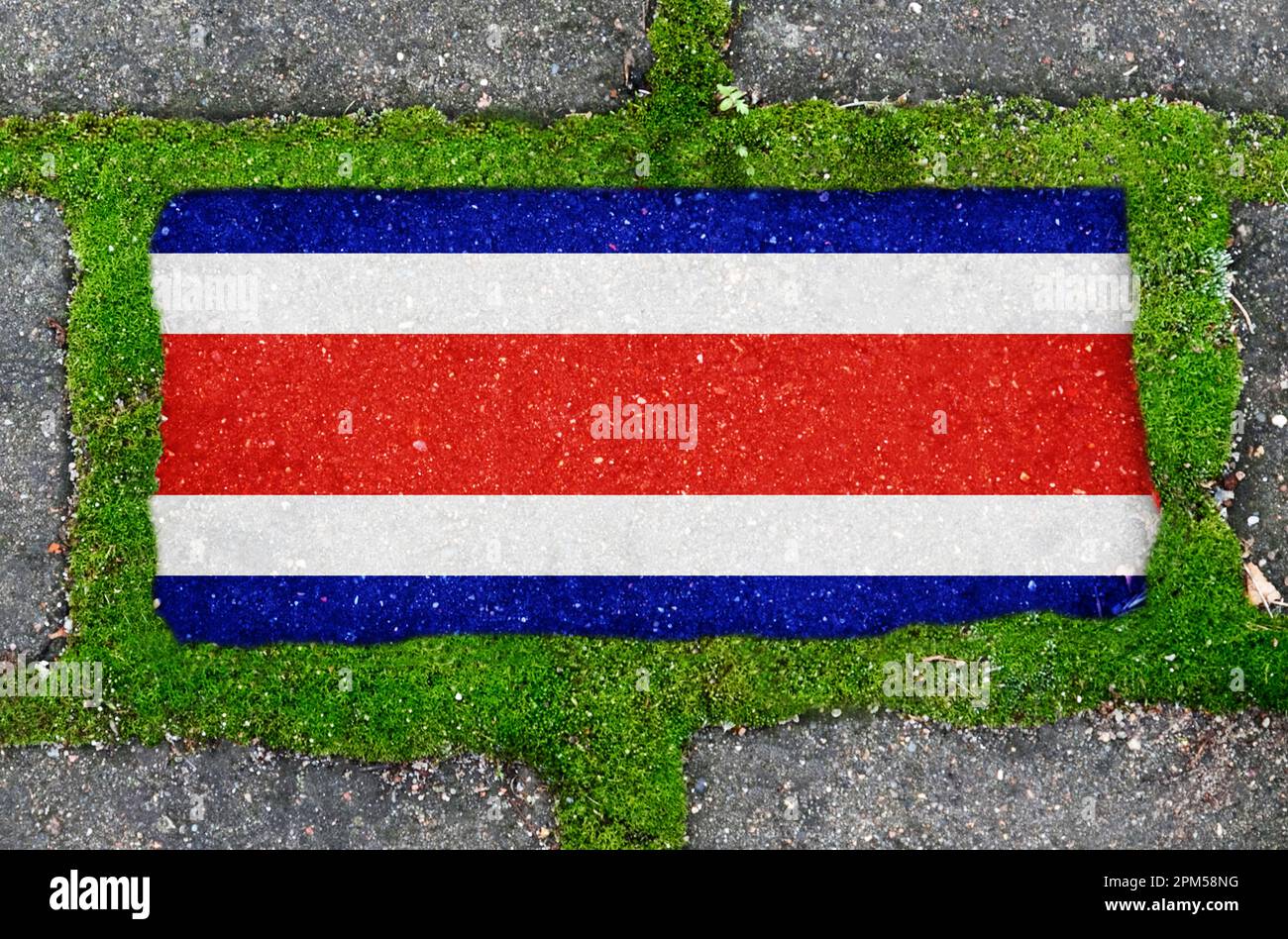 Ecological concept. On the sidewalk in green moss, paving slabs with ...