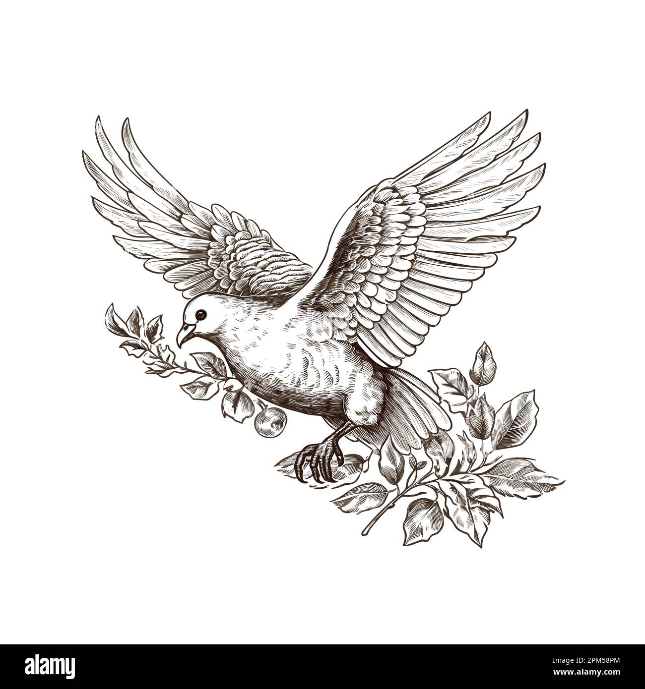 Flying dove. Hope and Faith. Art detailed editable illustration. Vector ...