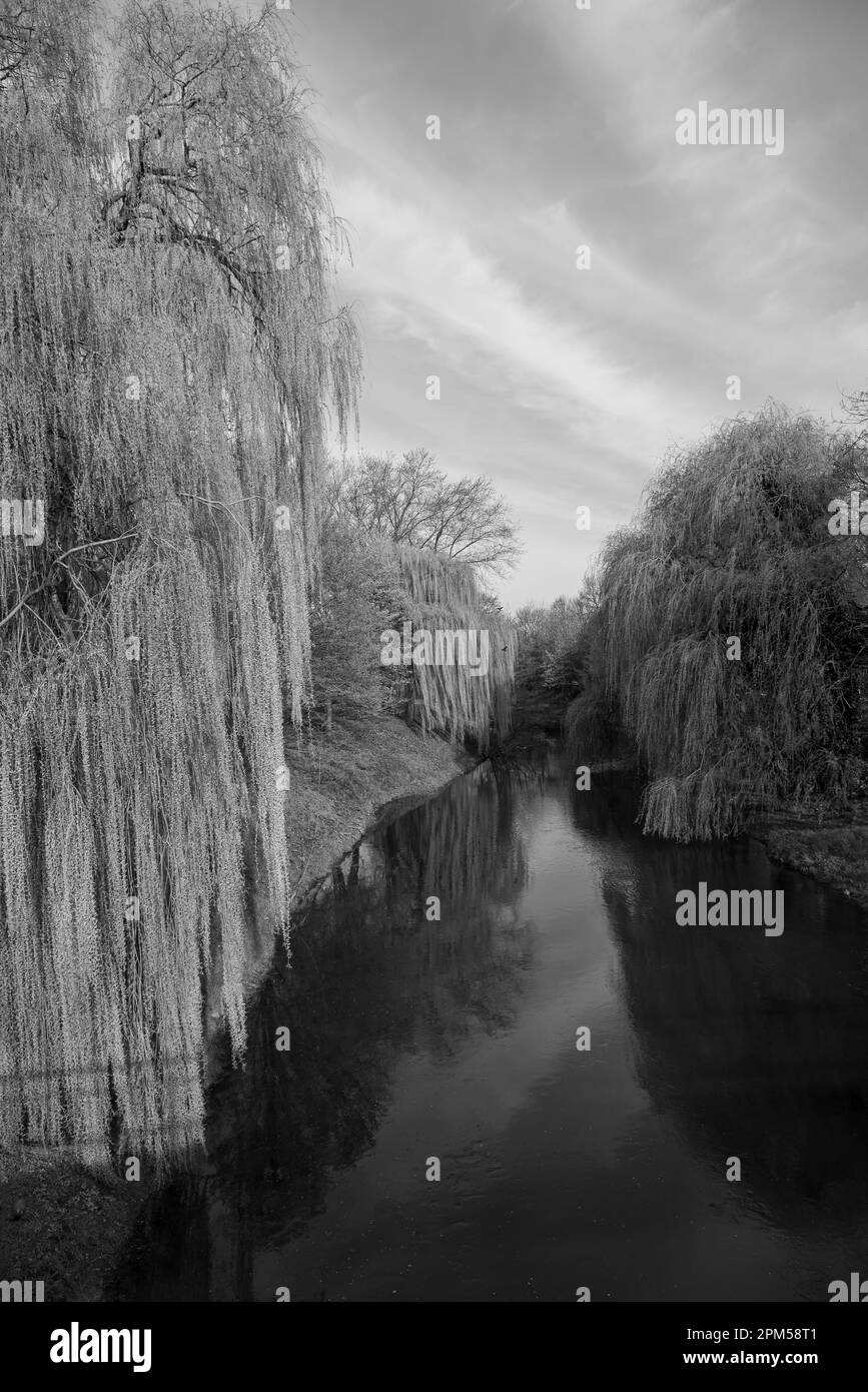 the city of vreden at the berkel river in germany Stock Photo - Alamy