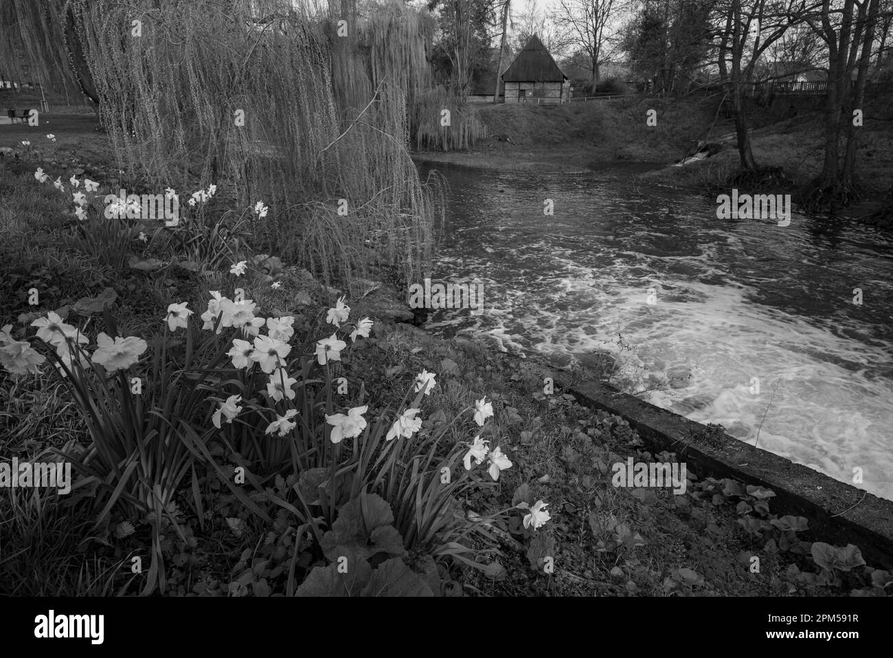 the city of vreden at the berkel river in germany Stock Photo - Alamy