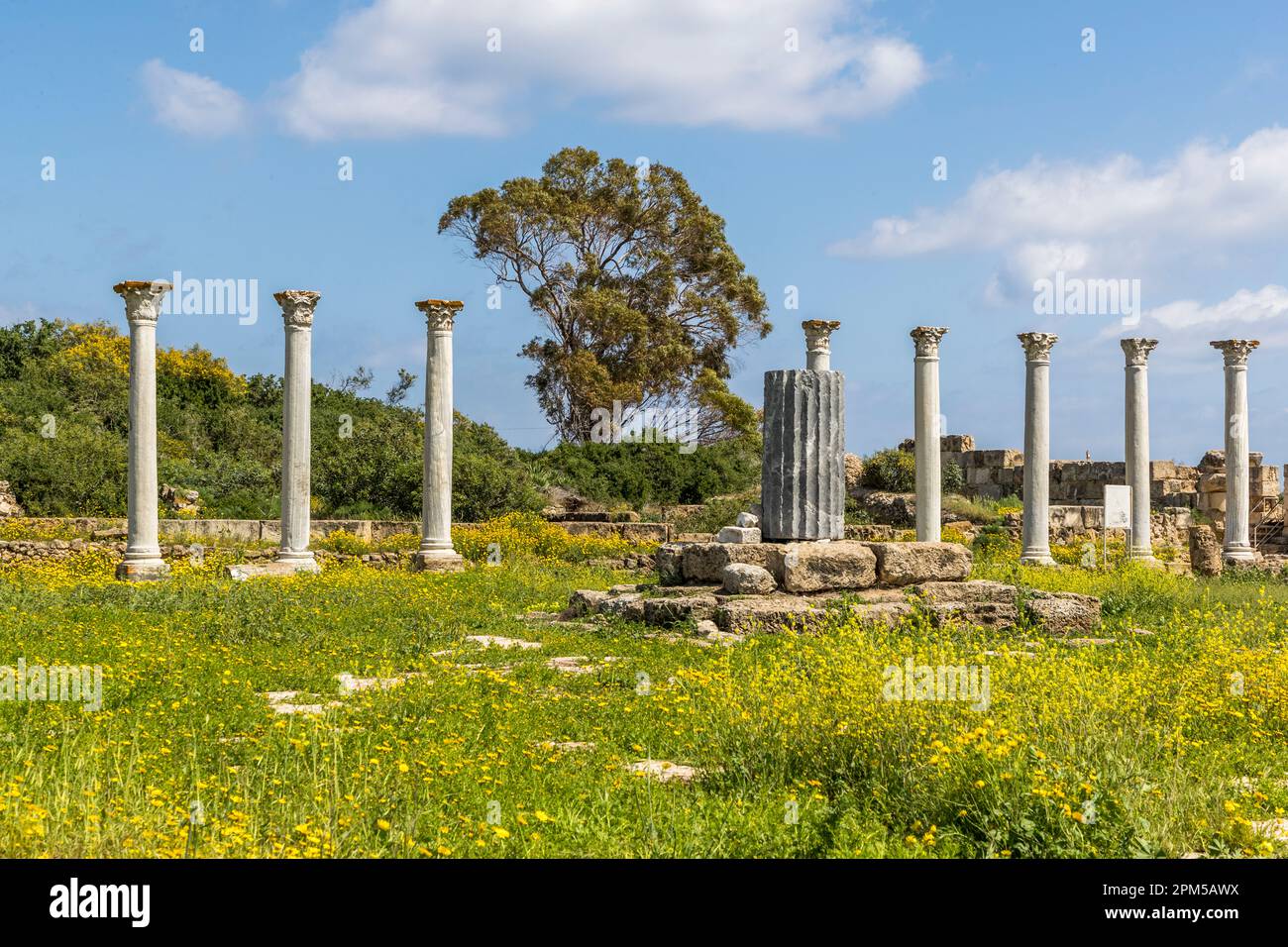 Ruins of the ancient Iron Age city-kingdom of Salamis near Agios ...