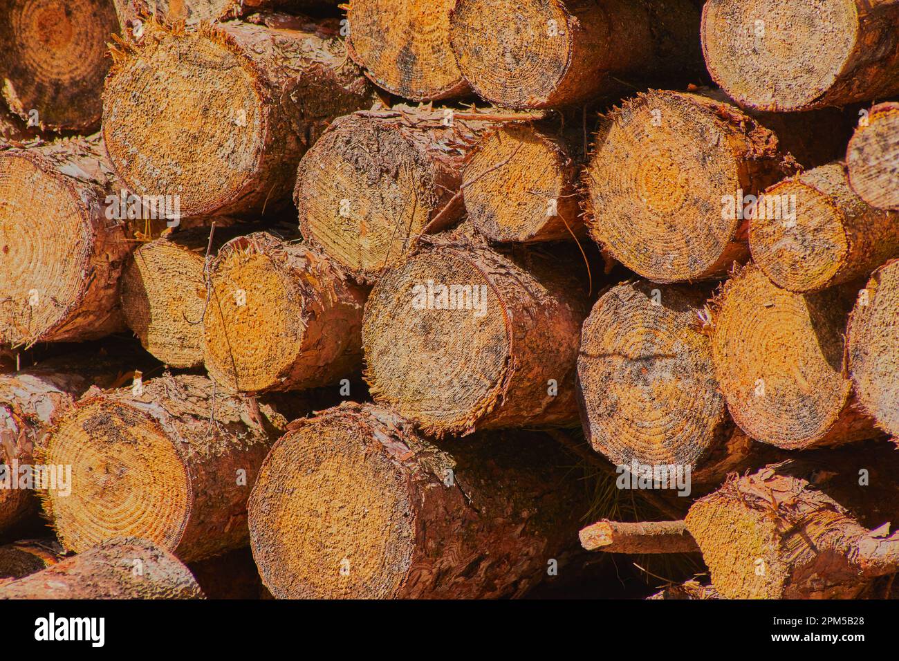 Chopped wood logs pile stacked hi-res stock photography and images - Alamy