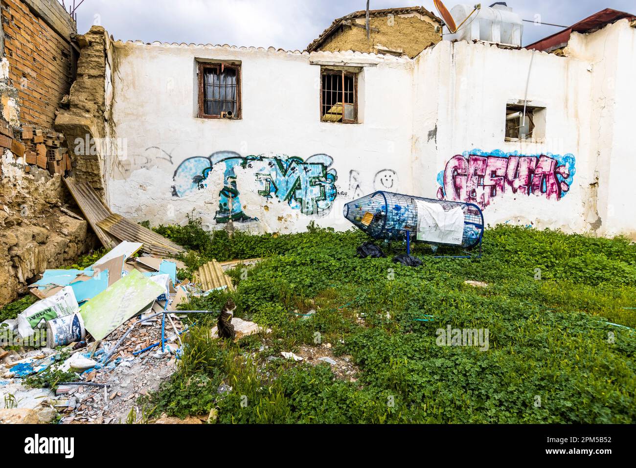 Cat and PET bottle collection point on a rubble lot in Nicosia, Cyprus ...