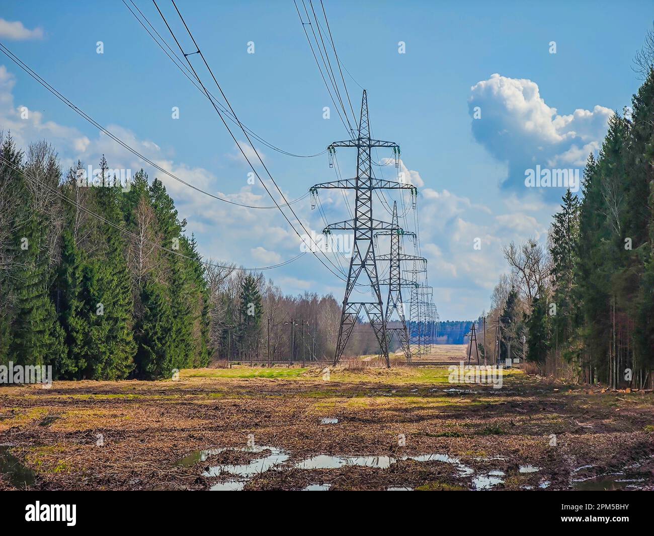 High voltage line poles and wires in a cleared forest. Impact of ...
