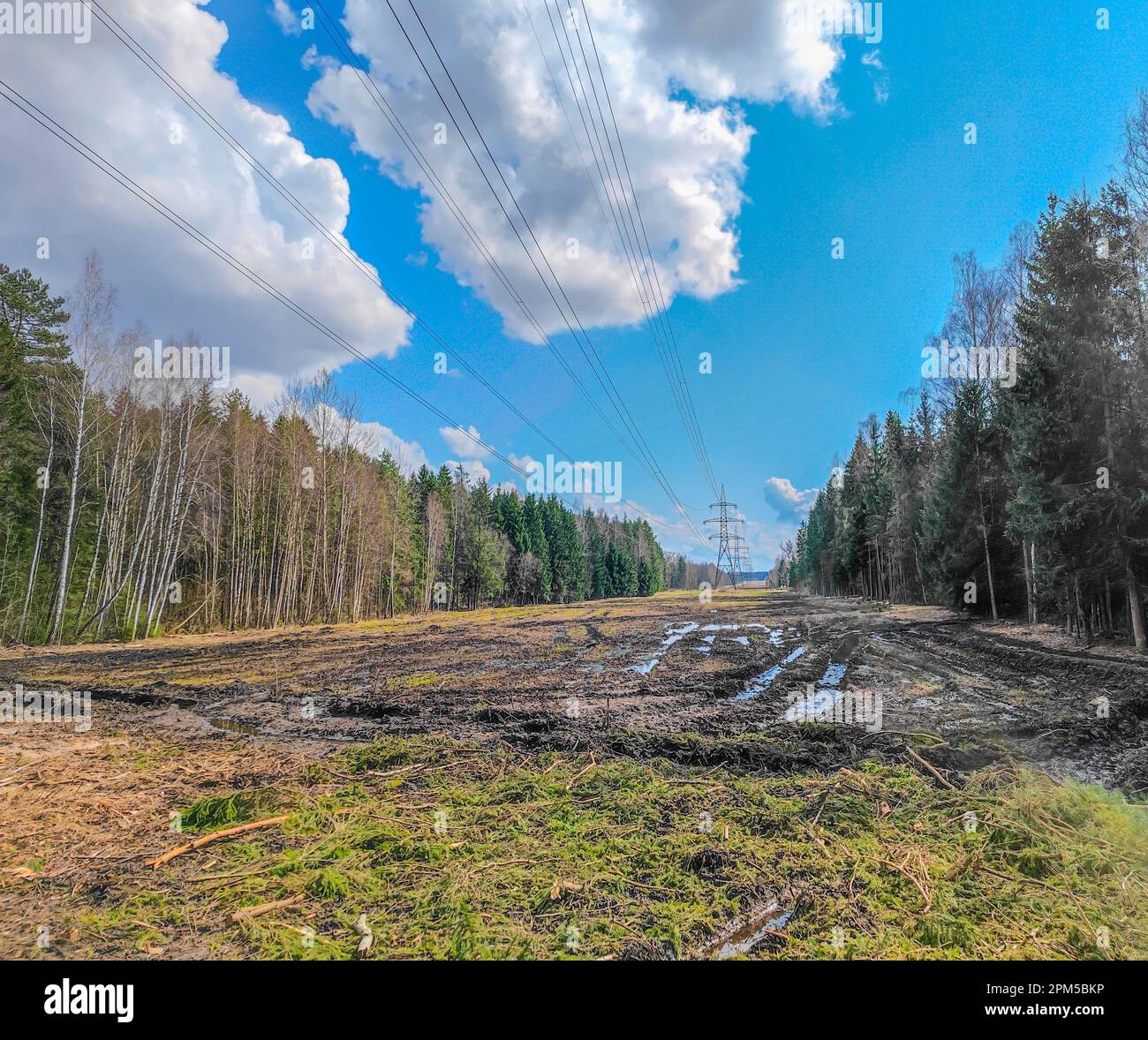 High voltage line poles and wires in a cleared forest. Impact of ...