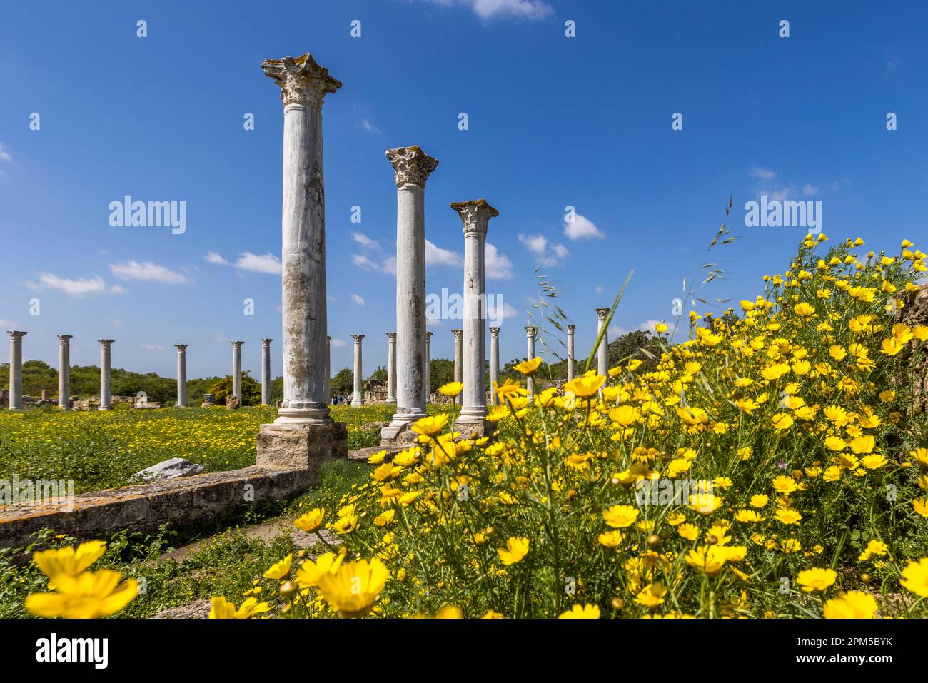 Ruins of the ancient Iron Age city-kingdom of Salamis near Agios ...