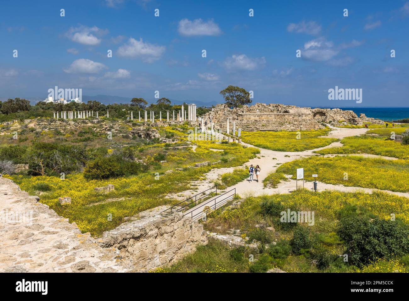 Ruins of the ancient Iron Age city-kingdom of Salamis near Agios ...