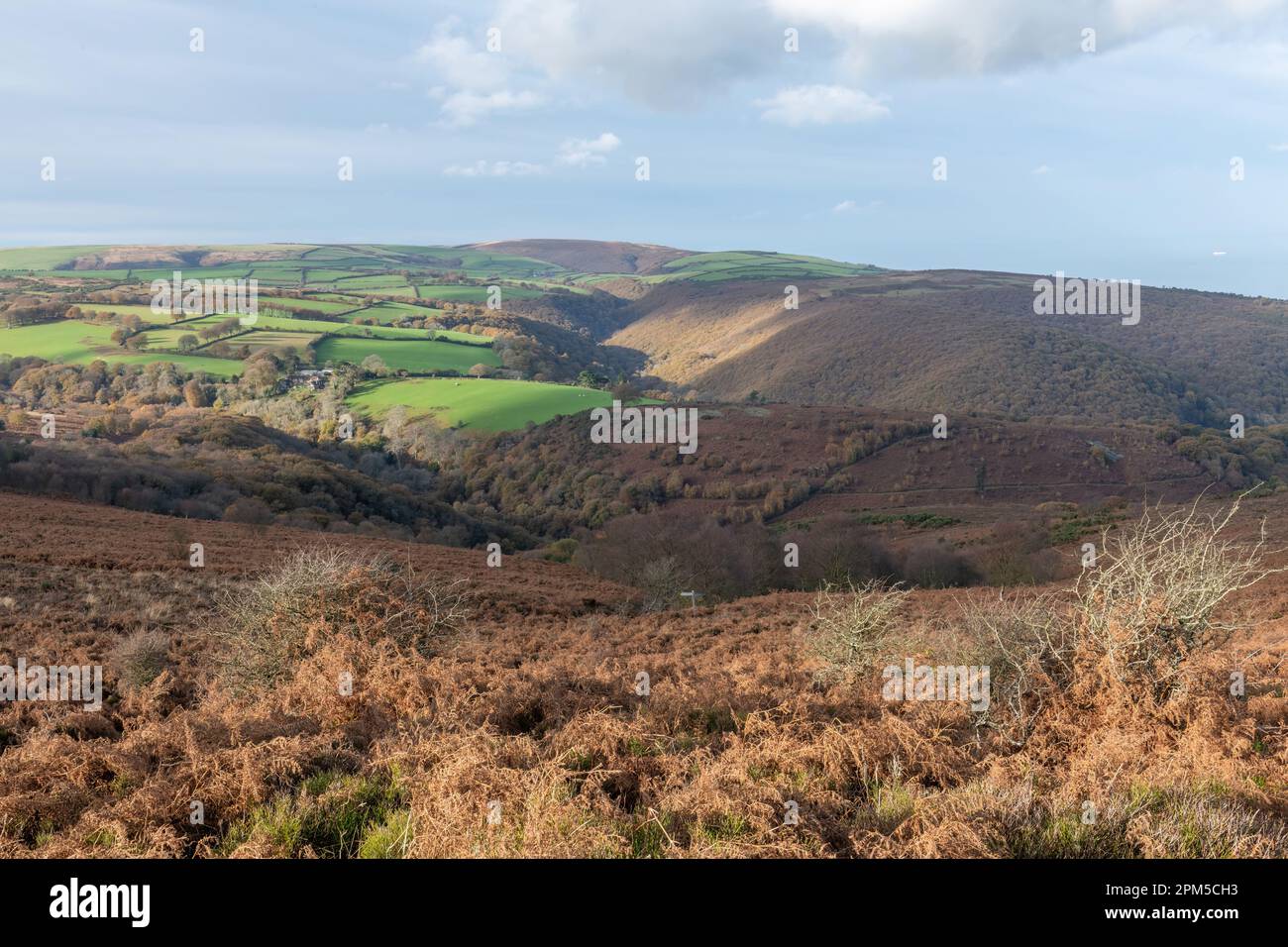 Landscape photo of the autumn colours at Horner woods in Exmoor ...
