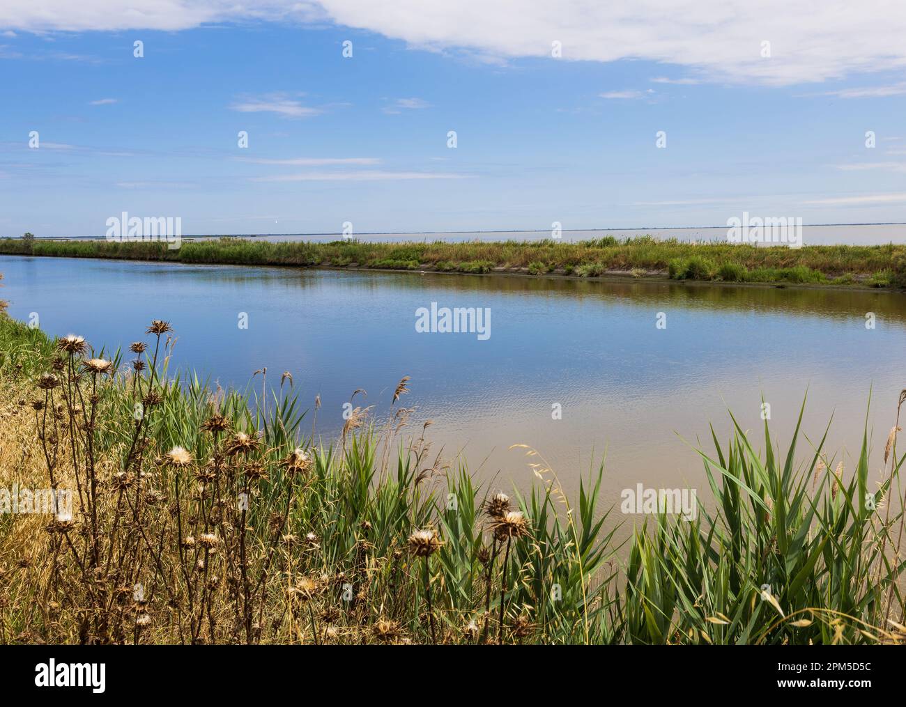 Po river delta Stock Photo - Alamy