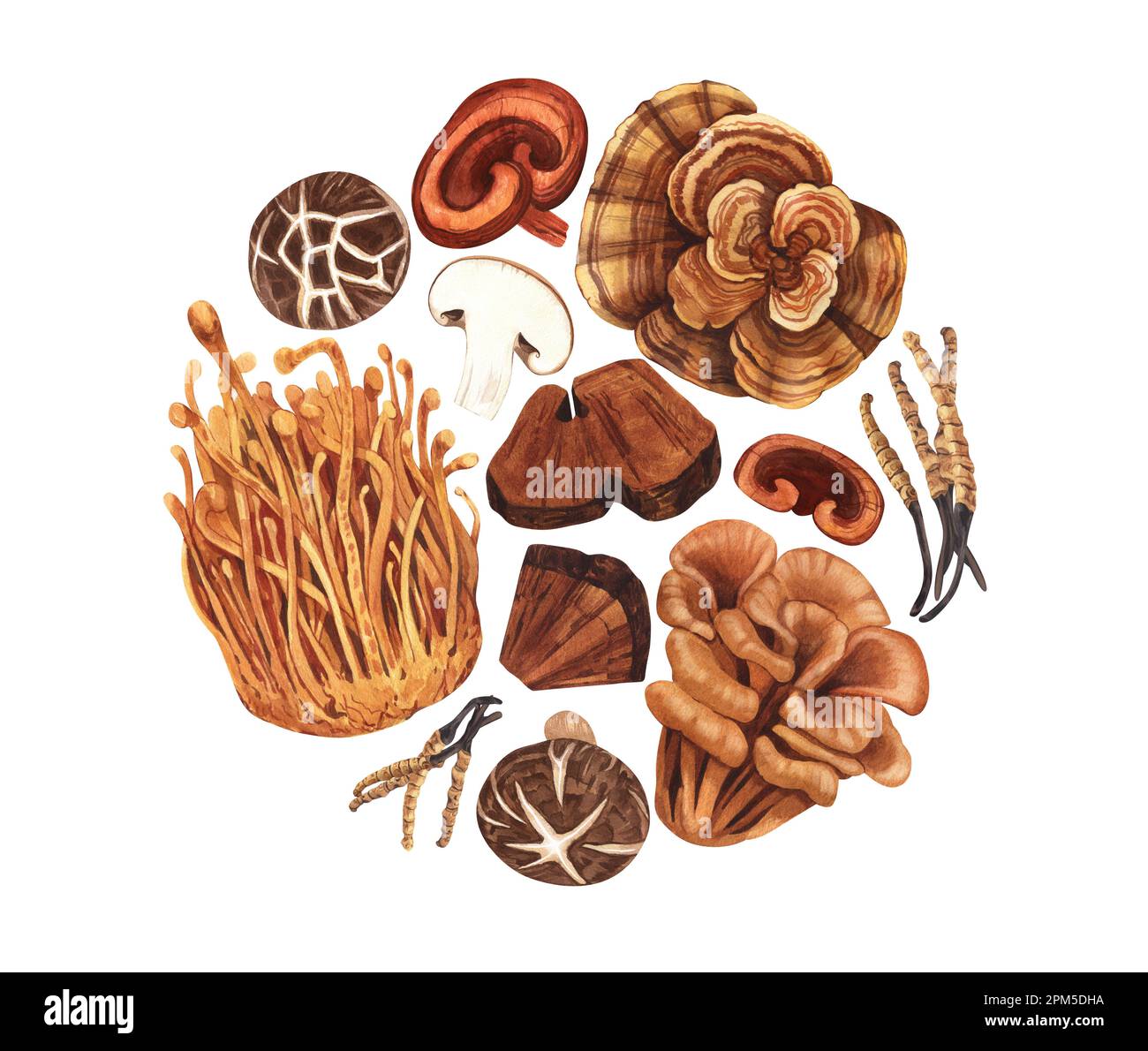 Watercolor round frame hi-res stock photography and images - Alamy