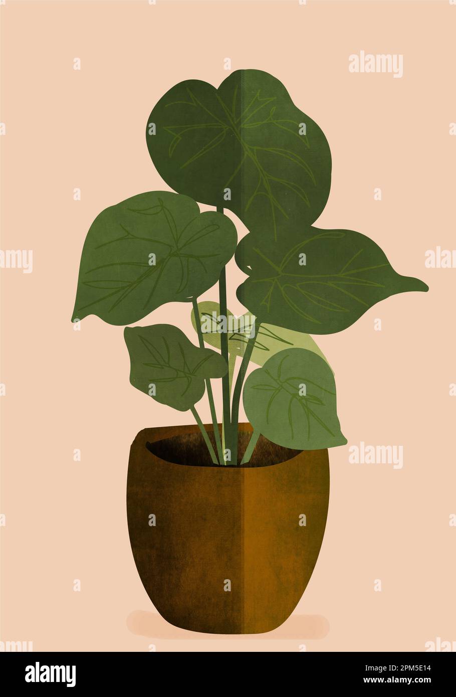 Abstract background boho style hi-res stock photography and images - Alamy