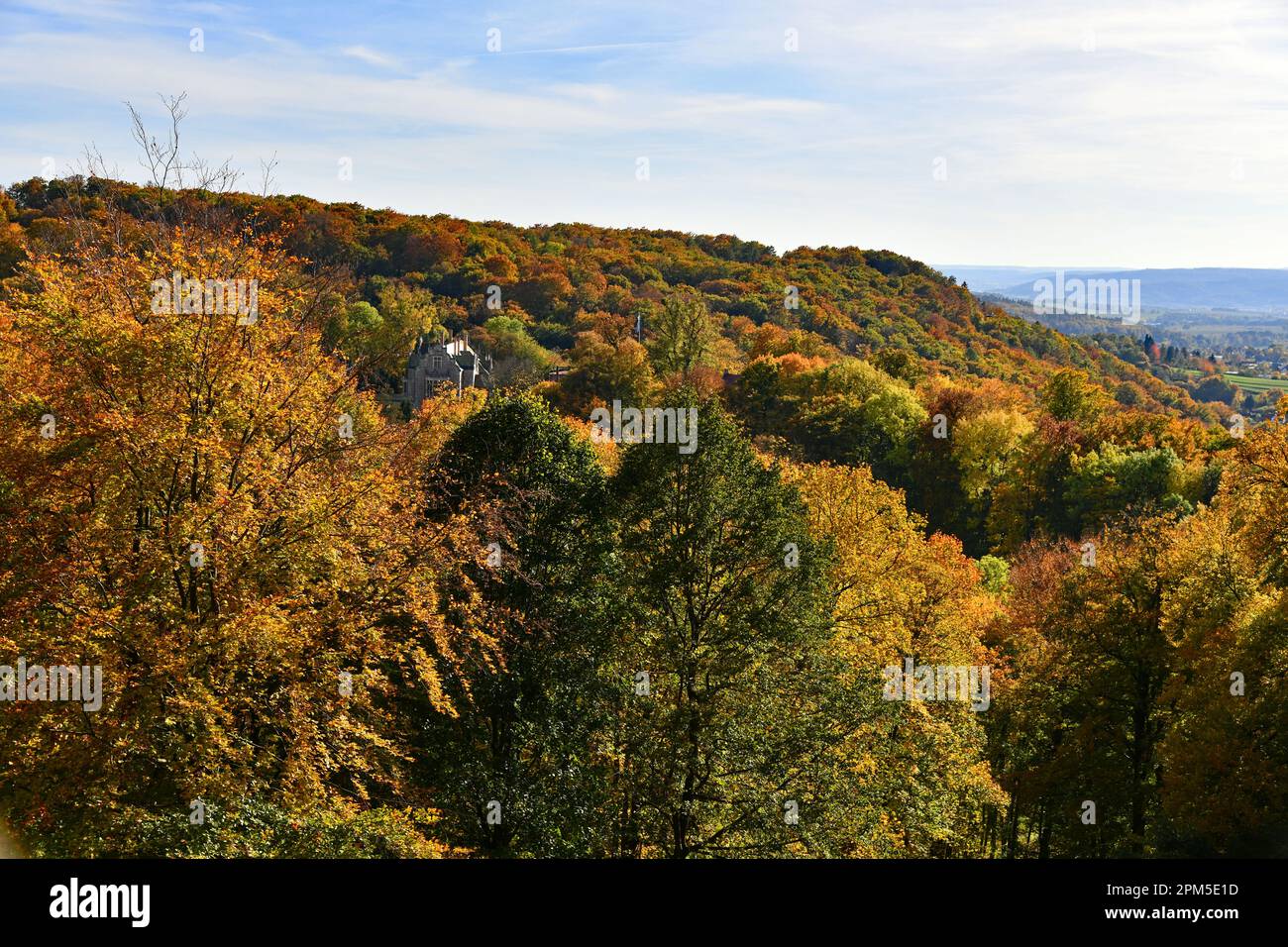 View from the Teufelsbrück to the Altenstein Castle Stock Photo - Alamy
