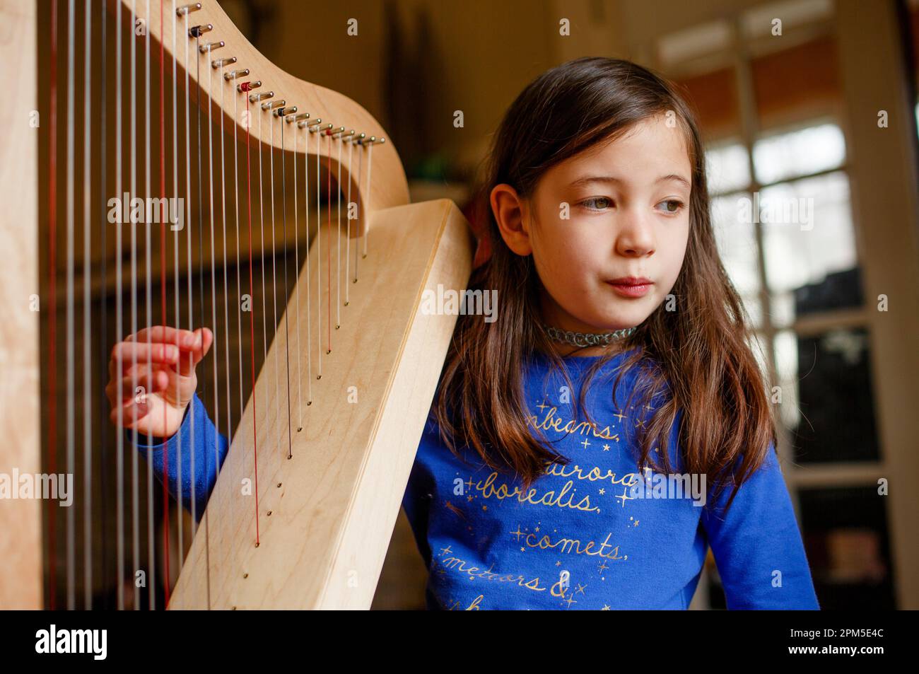 Close harp hi-res stock photography and images - Alamy