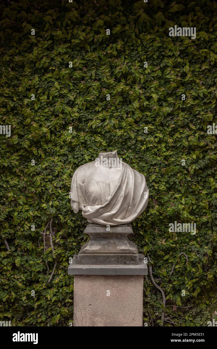 Torso of statue without a head in front of a vegetation wall Stock ...