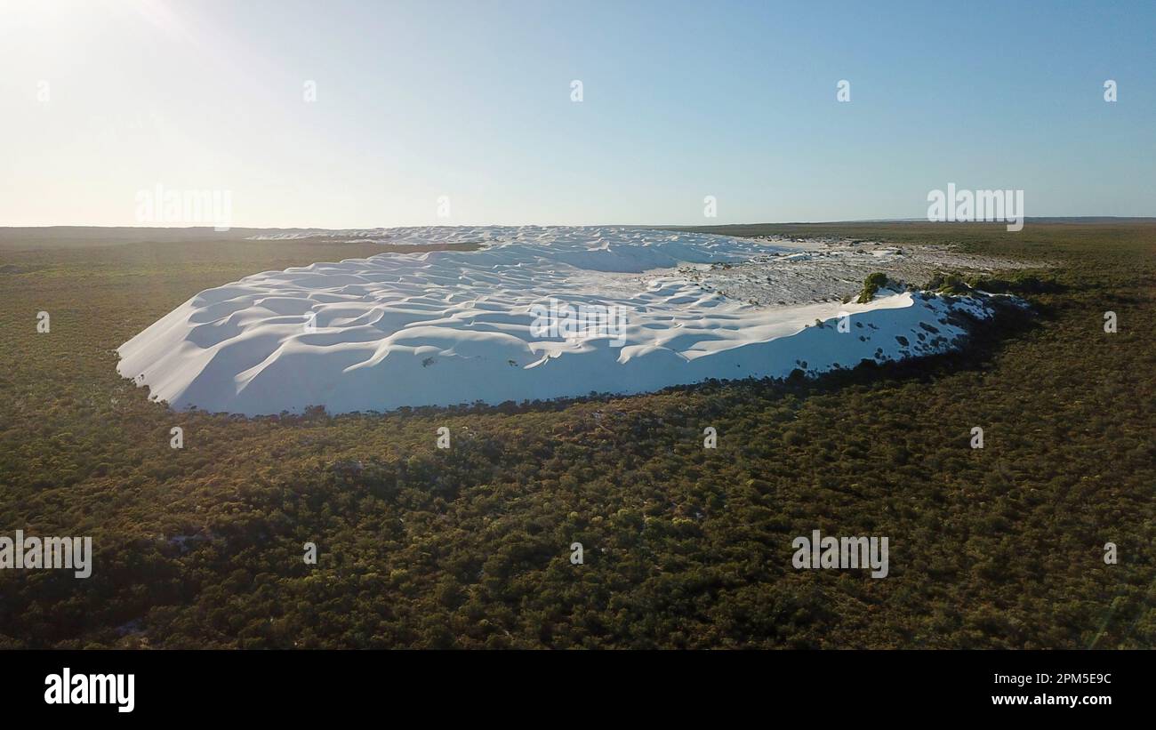 White sand dunes against clump bush Stock Photo - Alamy