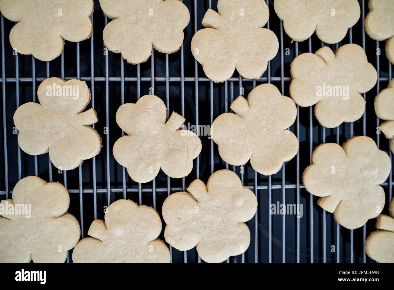 Overhead View of Fresh Baked Clover Sugar Cookies Cooling on Rack Stock ...