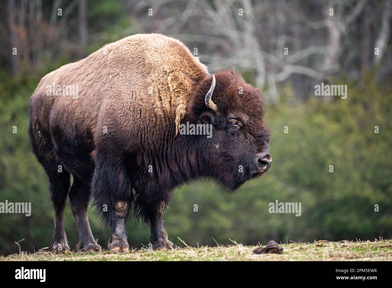 Big game ridge hi-res stock photography and images - Alamy