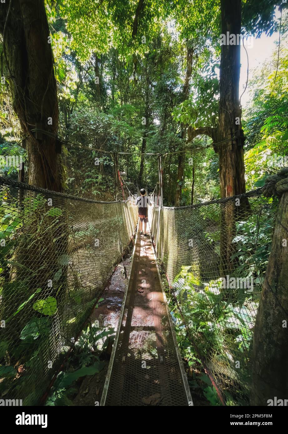 Quepos bridge, costa rica hi-res stock photography and images - Alamy