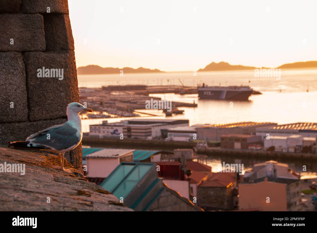 Vigo castle hi-res stock photography and images - Alamy