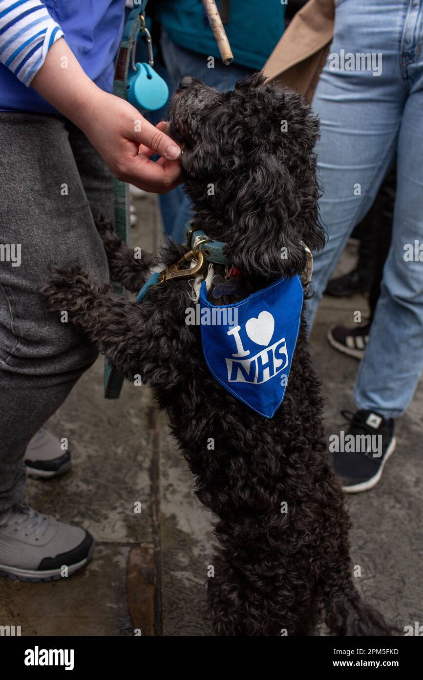 Dog with i love nhs flag hi-res stock photography and images - Alamy