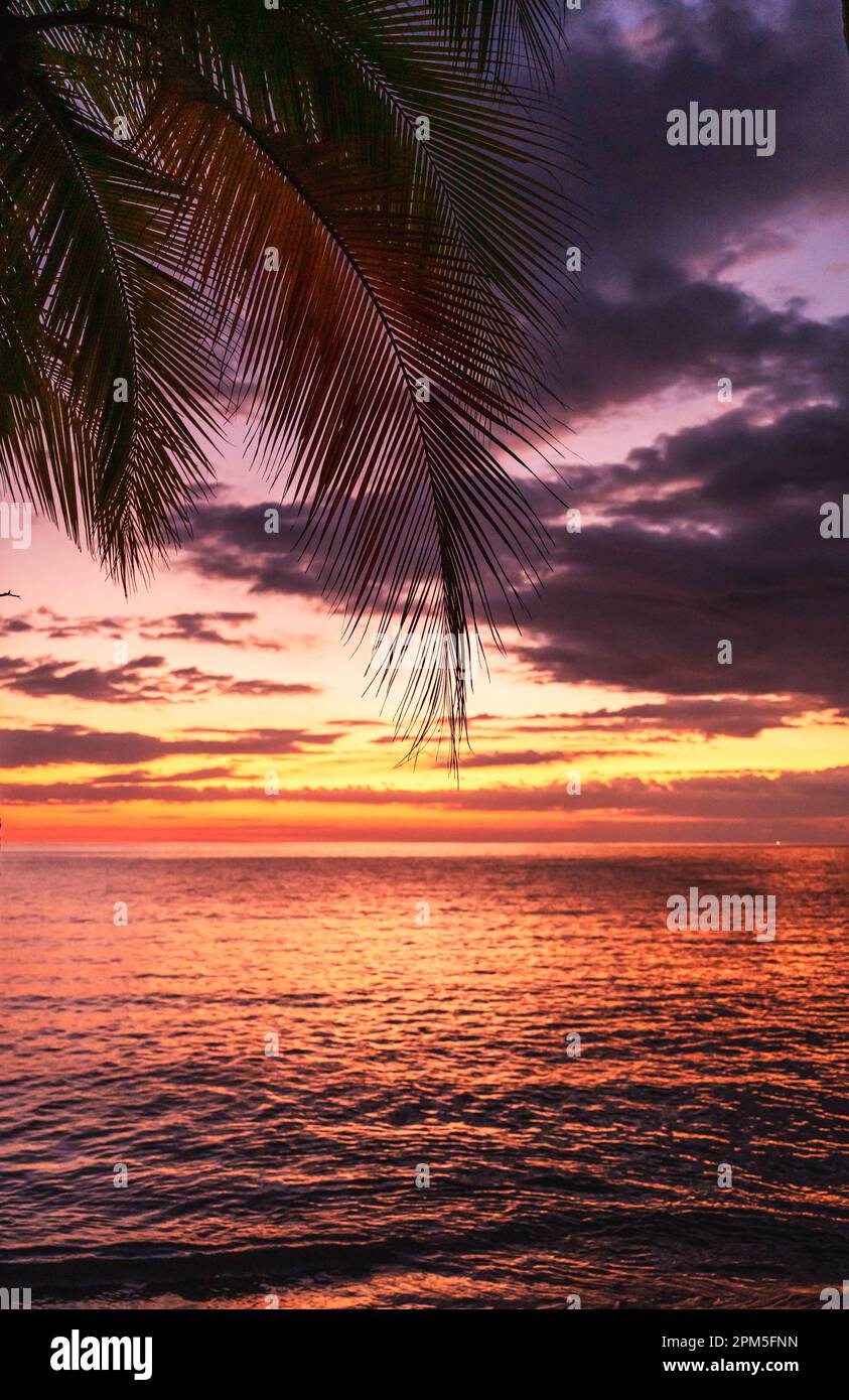 Beautiful colorful sunset on a tropical beach in Costa Rica Stock Photo ...
