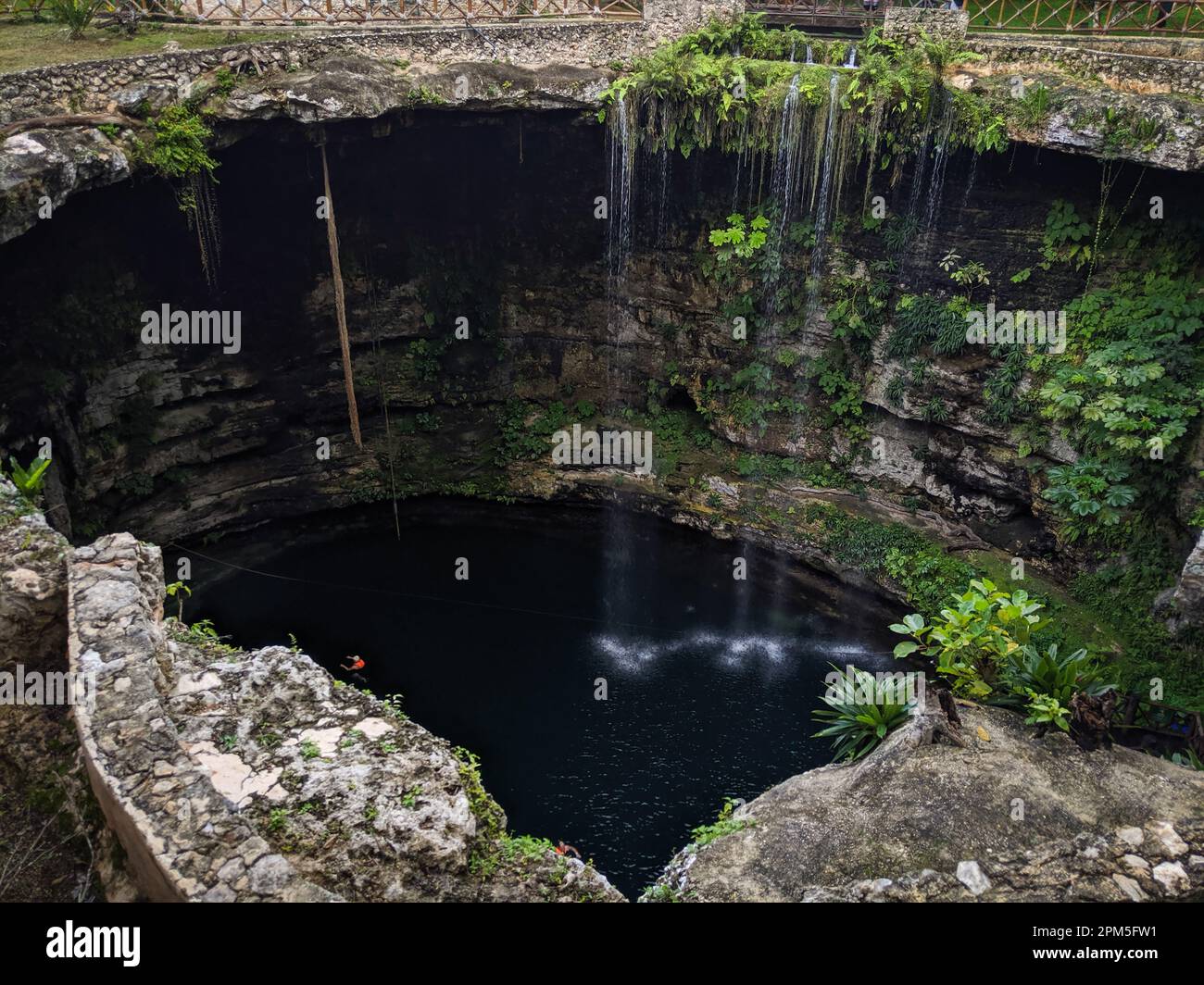 Blue Cenote in Yucatan, Mexico Stock Photo - Alamy