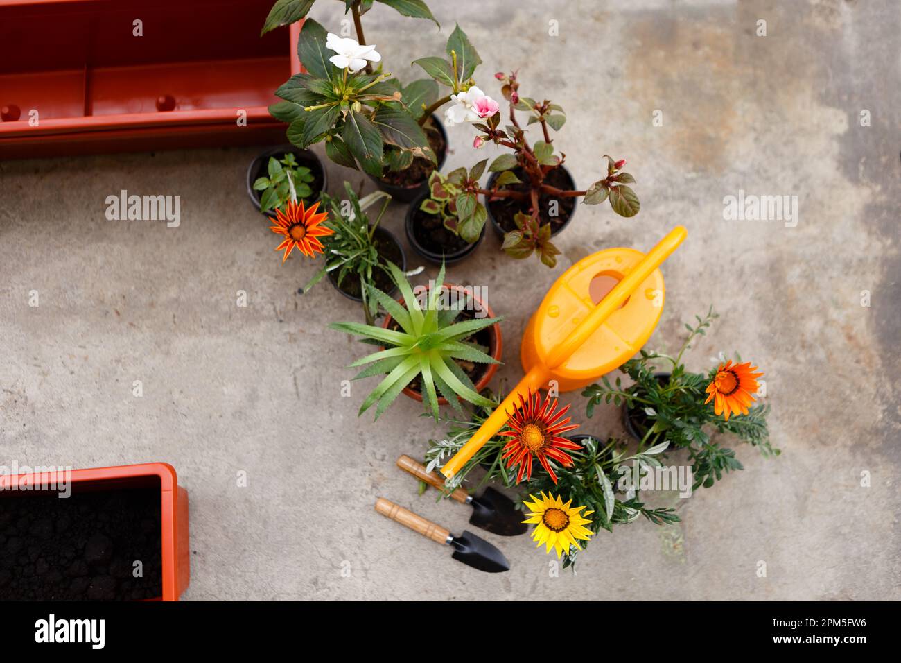 planting flowers in pots in the spring using garden tools Stock Photo ...