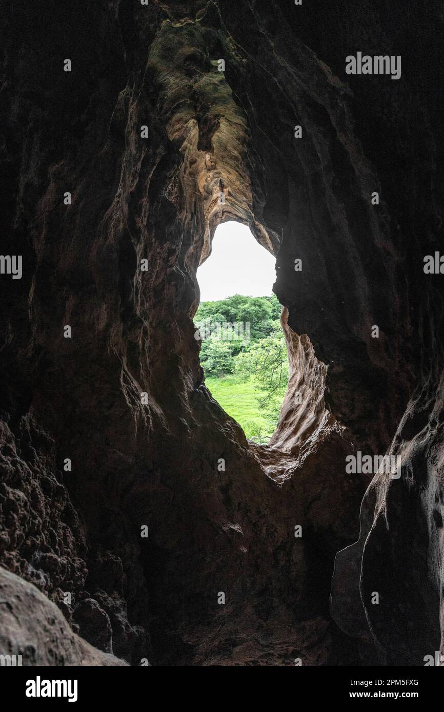 Natural window in a cave facing a grove Stock Photo - Alamy