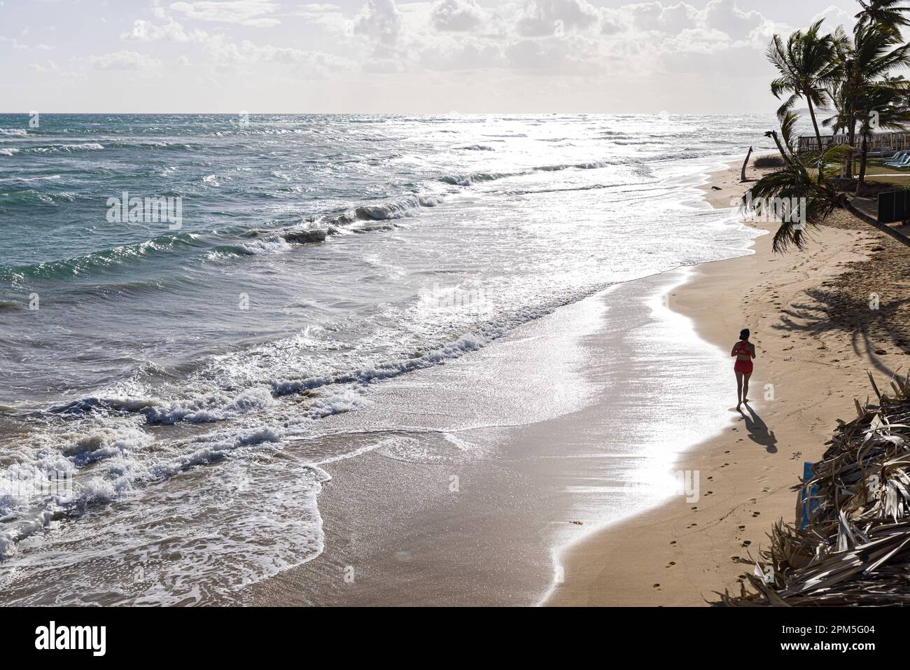 overhead view of woman running on beach with palm trees Stock Photo - Alamy