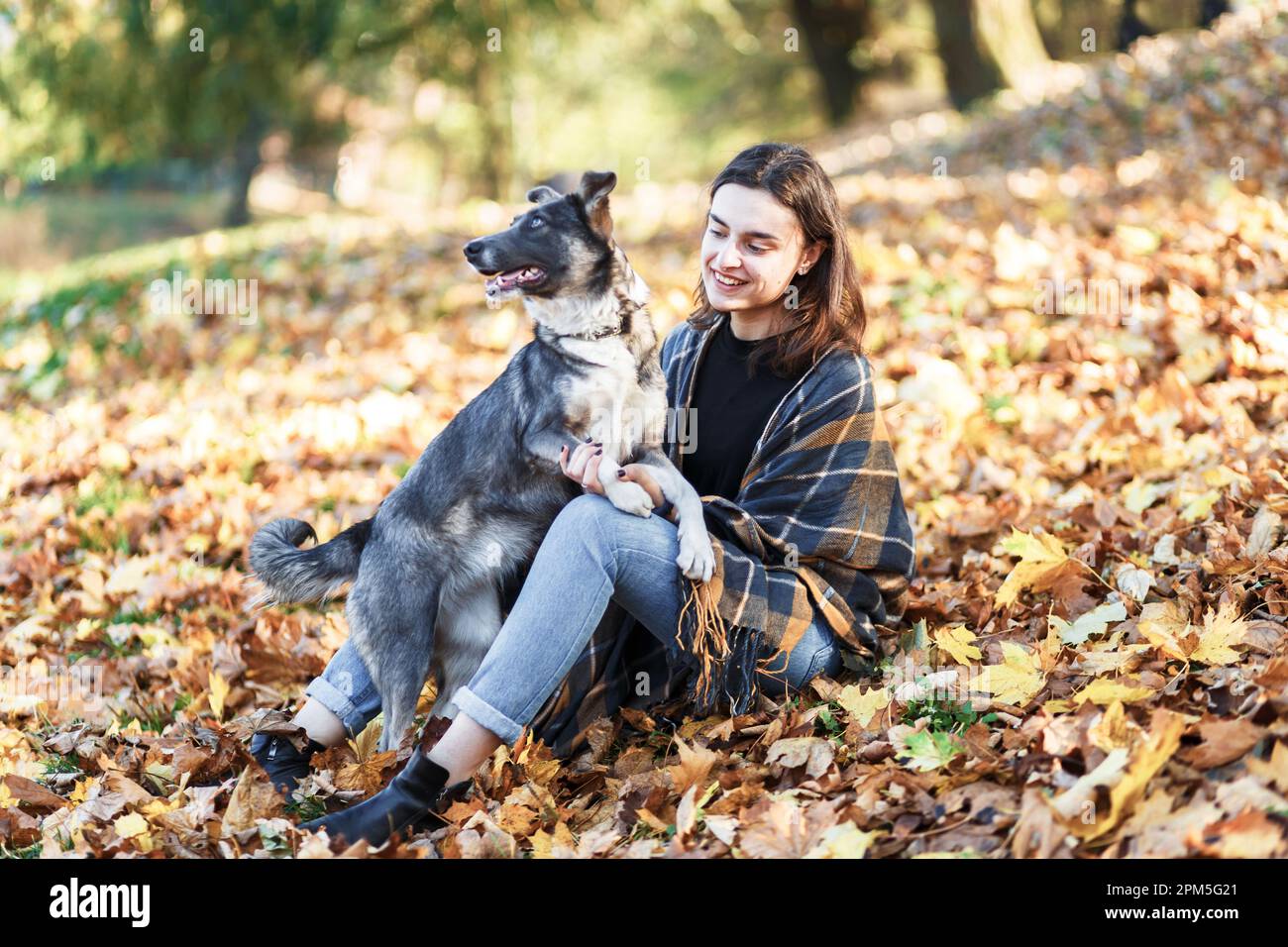 young woman walks her dog in an autumn park full of leaves Stock Photo ...