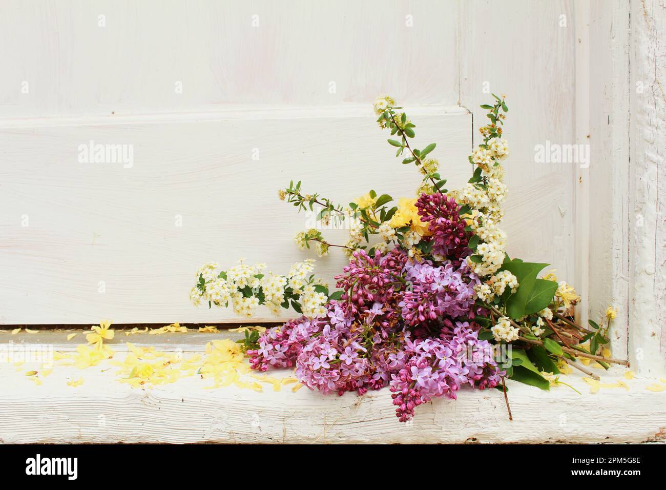 Bundle of leaves hi-res stock photography and images - Alamy