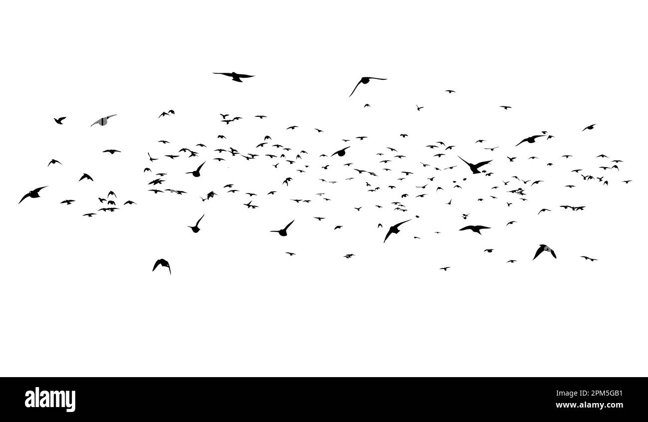 A flock of flying birds. Free birds. Vector illustration Stock Vector ...