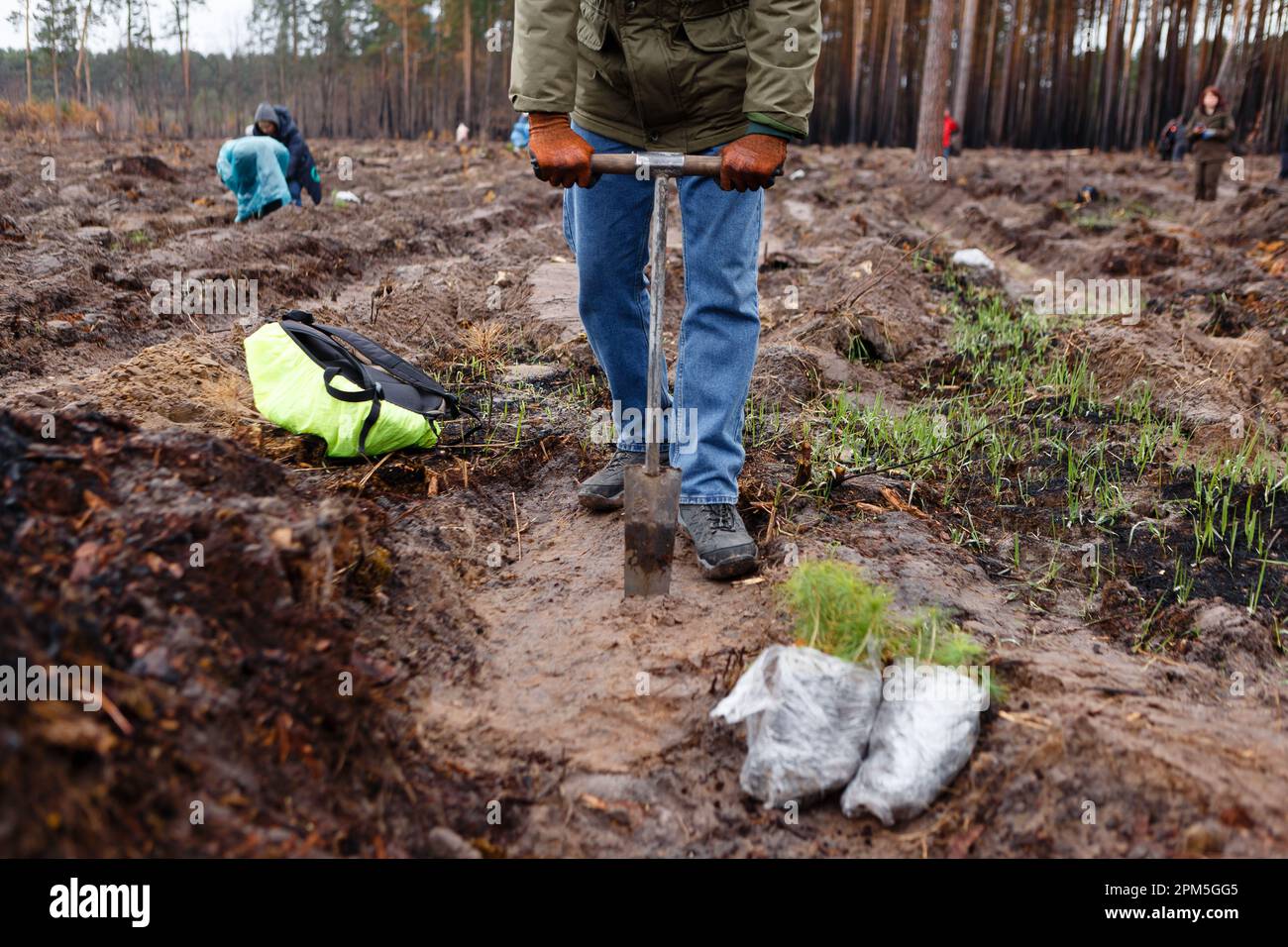 man plants trees for campaign to green planet in spring Stock Photo - Alamy
