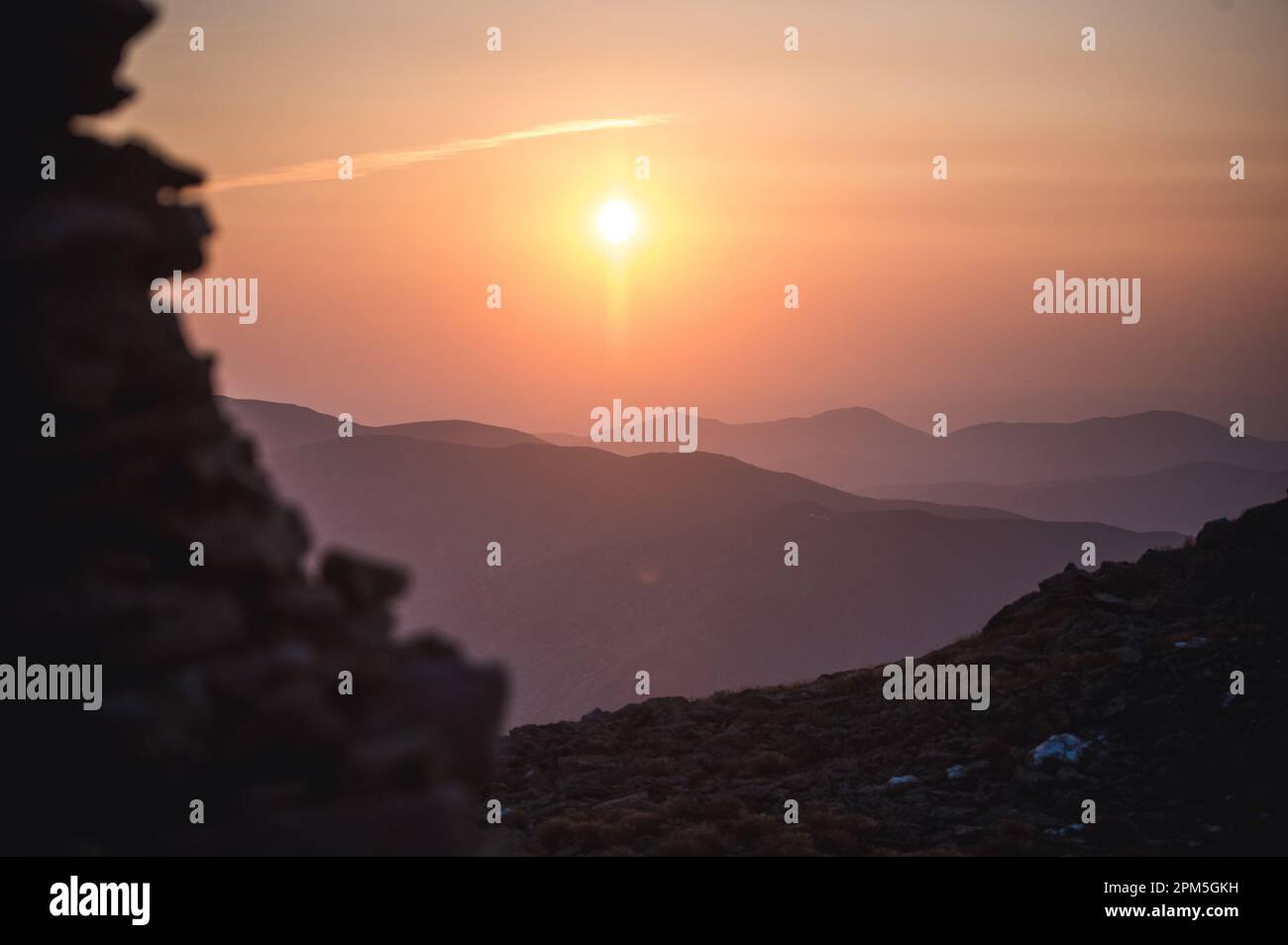 Sargents purchase hi-res stock photography and images - Alamy