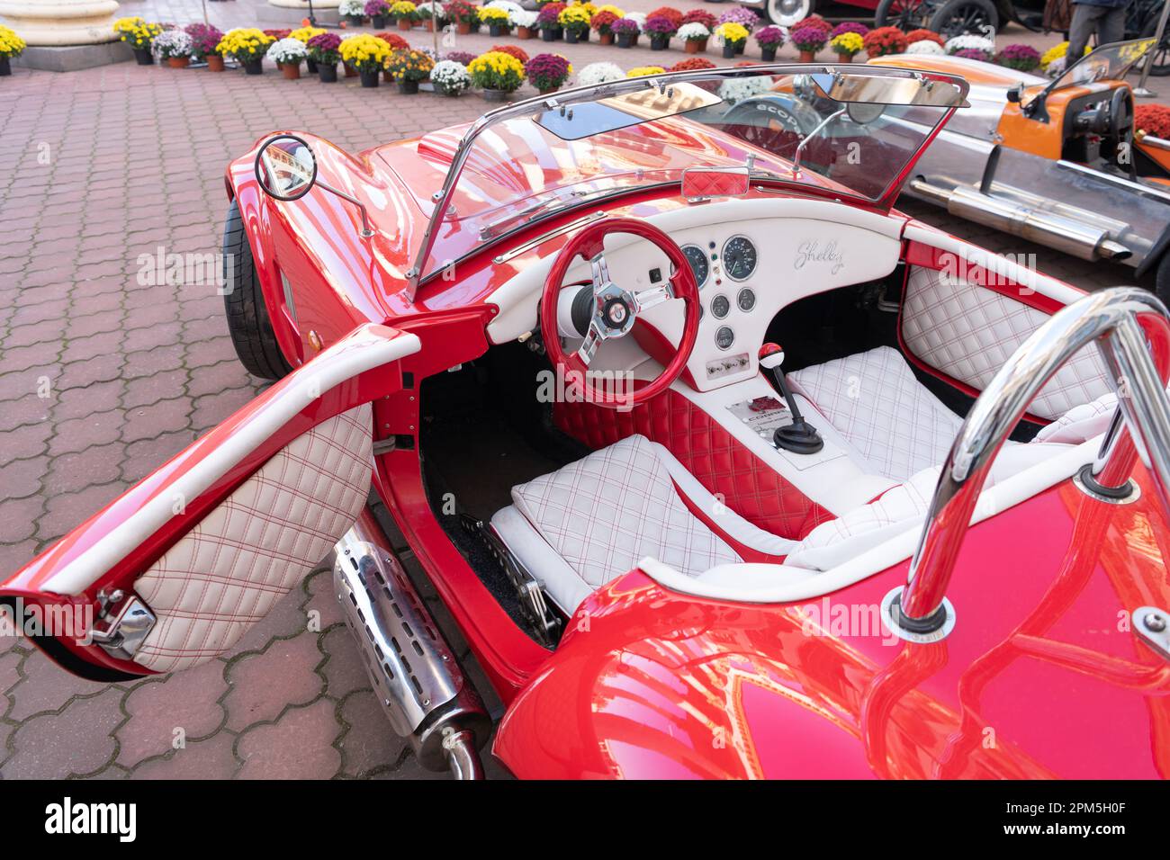 Shelby Cobra 2022 Interior