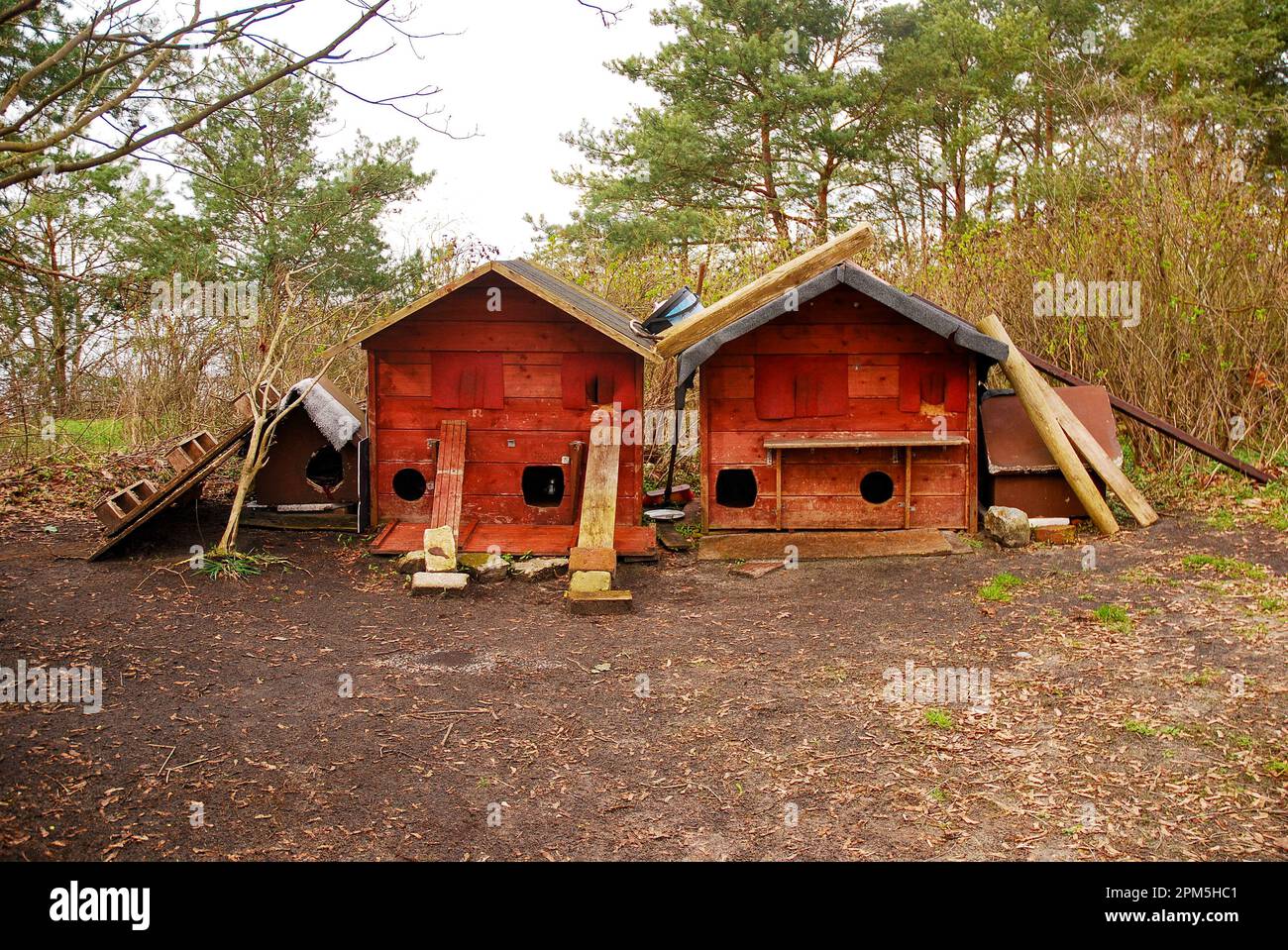 A handmade wooden house for homeless cats. Shelter for abandoned and ...