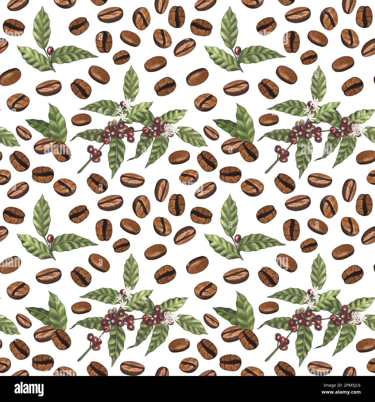 Watercolor seamless pattern of coffee arabica beans and branch. Hand ...