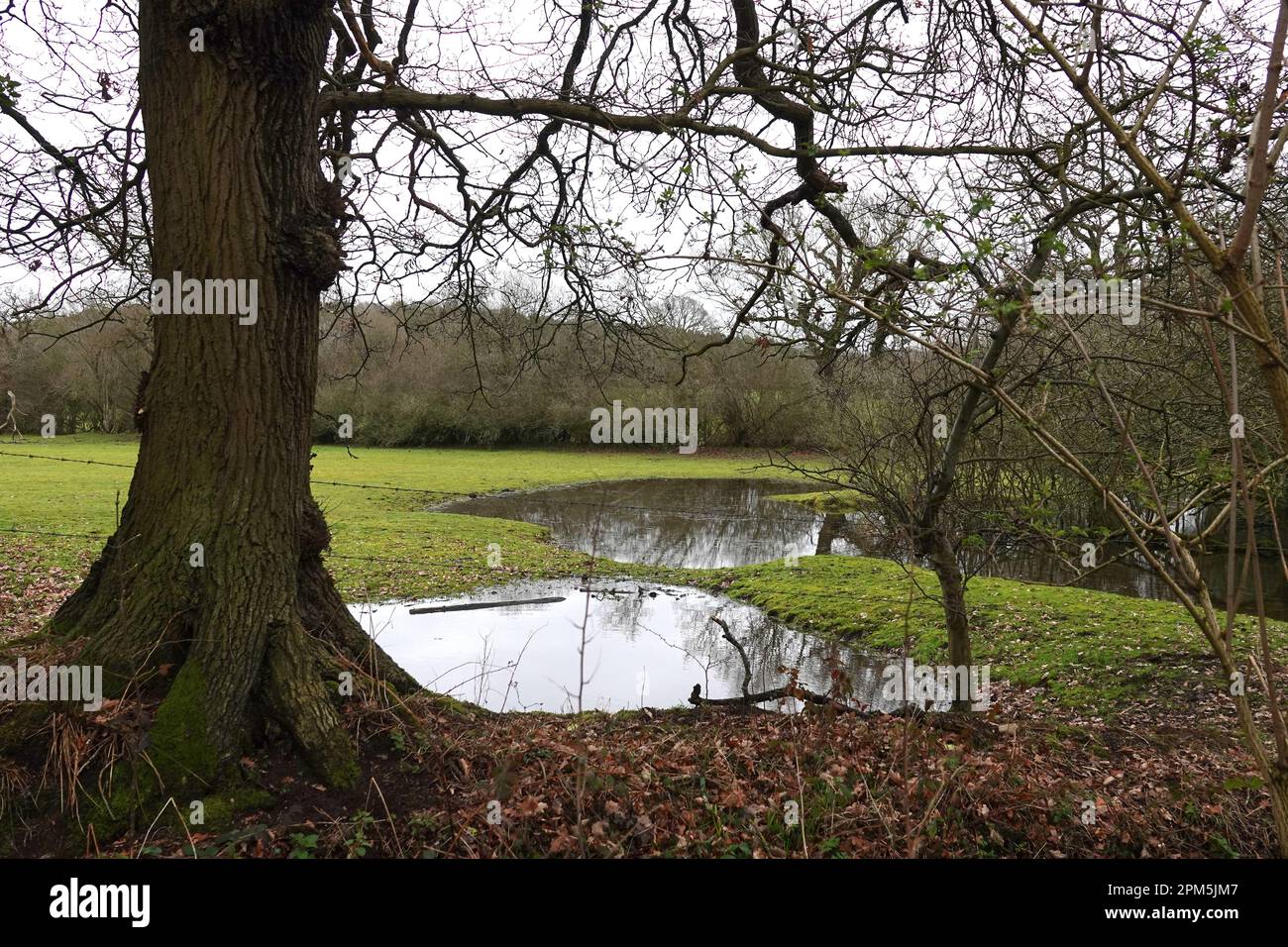 Flooded fields following continuous heavy rain in the UK Stock Photo ...