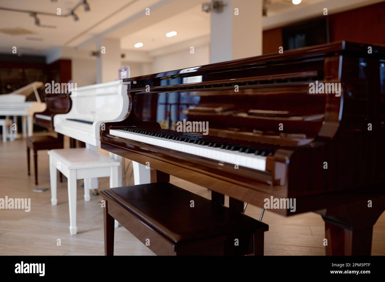 Keyboard music workshop hi-res stock photography and images - Alamy