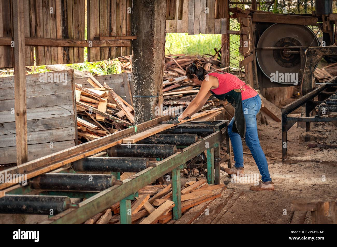 Portrait of middle-aged woman in apron working with a machine in a ...