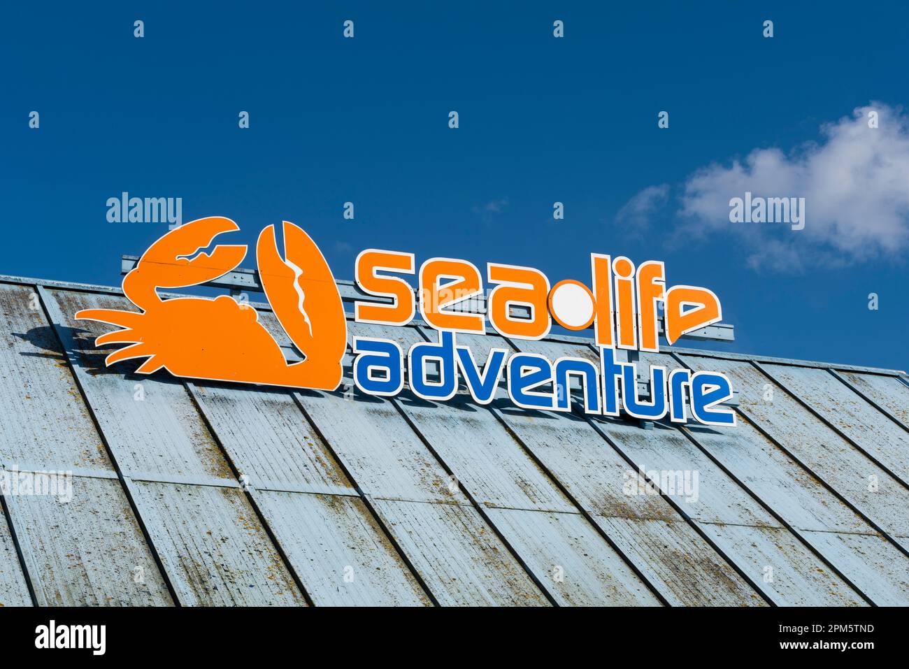 Sealife Adventure Zooquarium, Sea life centre aquarium in Southend on ...