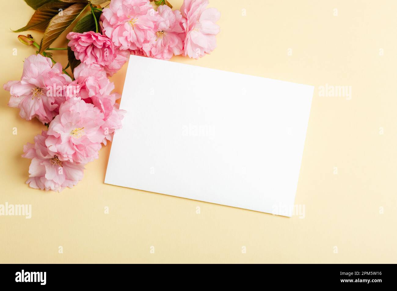 Beige wedding invitation card template hi-res stock photography and ...